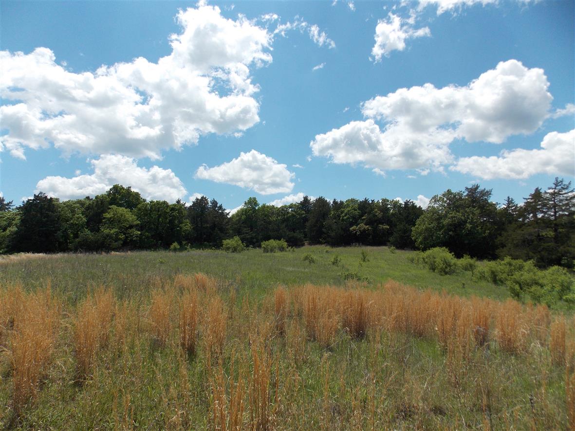 20 Acres Prime Hunting River Access Peaceful! | Ultimate Land Listings