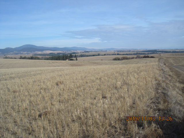 160 acres for sale | Ultimate Land Listings