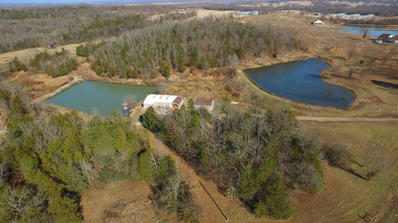 12 Acres, woodland, pasture and 2 large stocked fishing Ponds, plus 3 ...